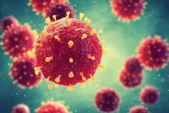 ¿Qué es el virus Nipah y qué tan peligroso es?