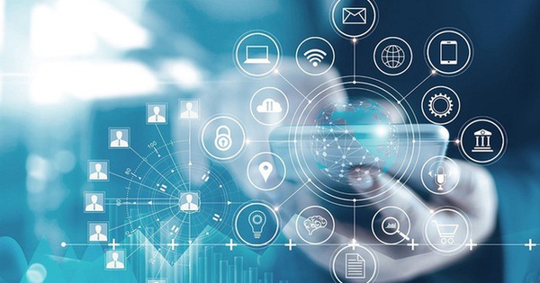Regulations on the management of information technology application ...
