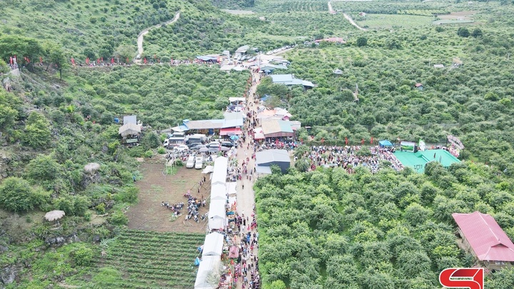 Phát triển nông nghiệp xanh gắn với du lịch sinh thái