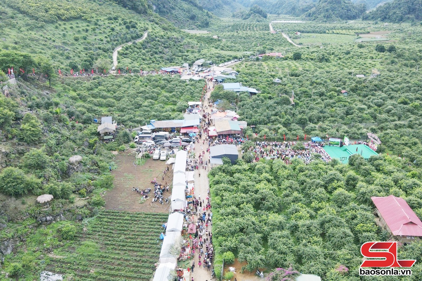 Developing green agriculture in conjunction with ecotourism.