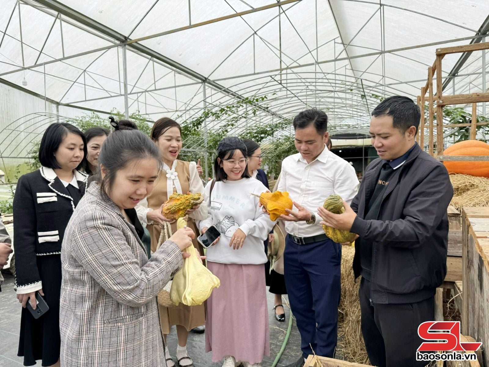 Developing green agriculture in conjunction with ecotourism.
