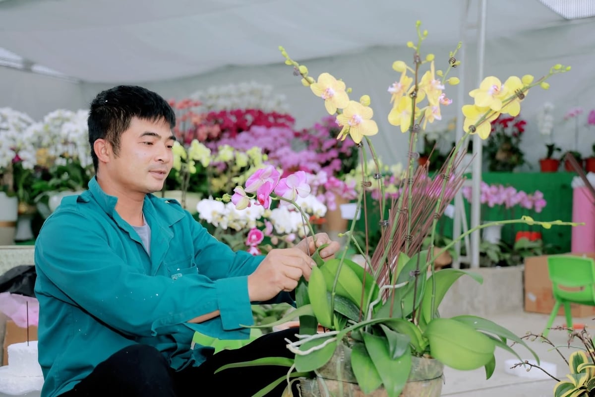 The Binh Khe flower region is ready to bring the colors of spring to ...