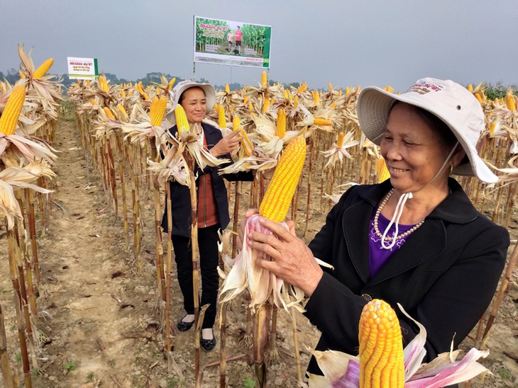 Conditions for genetically modified organisms to be used as food in Vietnam