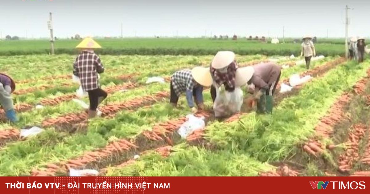 Exemption from agricultural land tax until 2030: A boost for ...