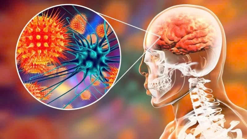 Urgent warning: Absolutely do not eat fruit that shows signs of being ...