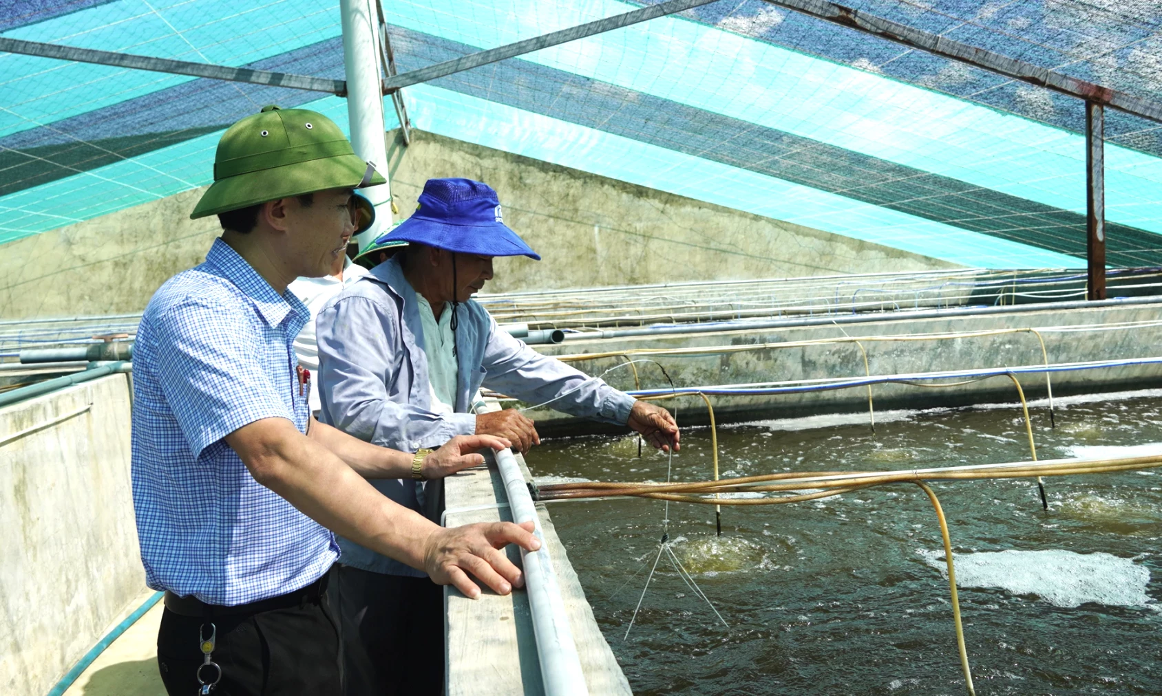Shrimp farming in floating cement tanks: a sustainable aquaculture ...