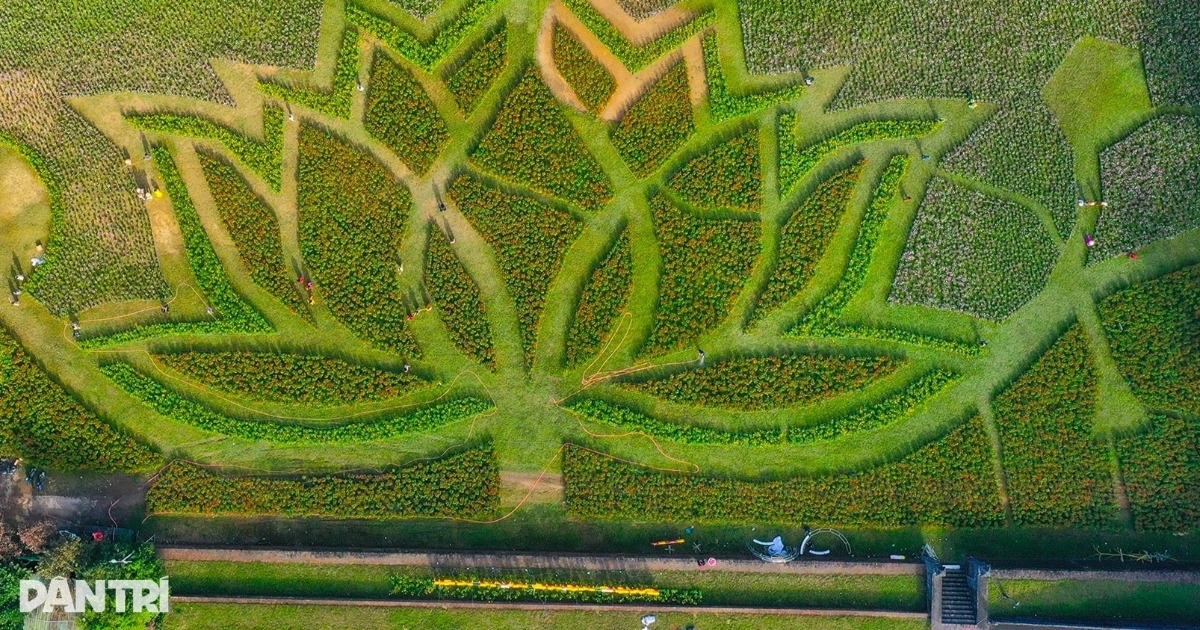 Una flor de loto gigante hecha a partir de 50.000 macetas en la Ciudad ...