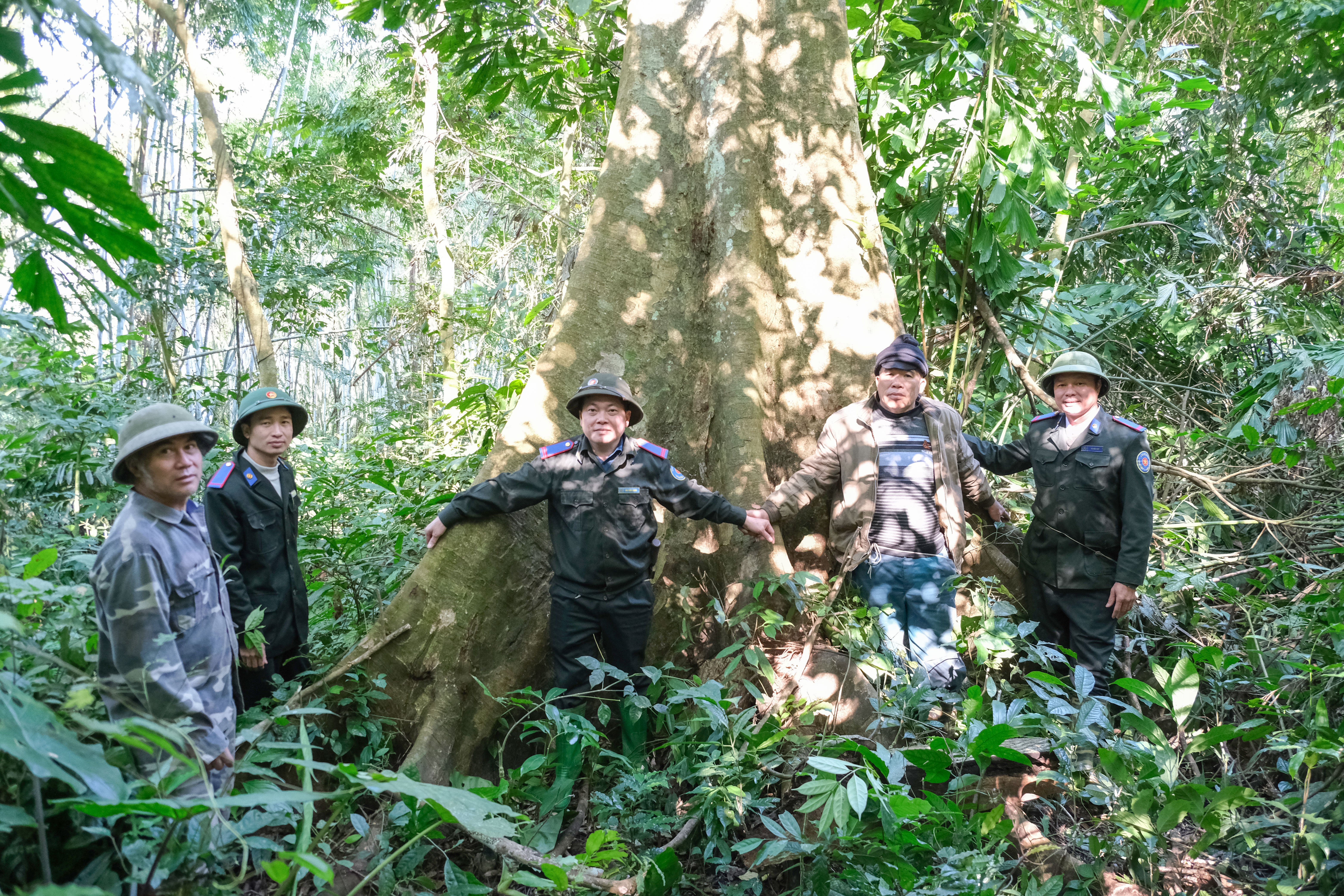 Preserving the forest, welcoming spring amidst the vast Thần Sa forest.