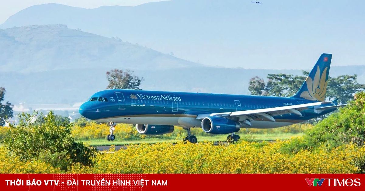 Increase capacity on nearby routes when Lien Khuong Airport is closed.