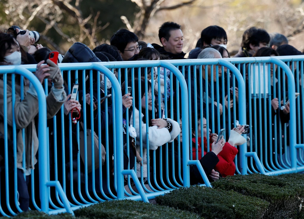 Abandoned baby monkey becomes a sensation, Japanese zoo overwhelmed ...