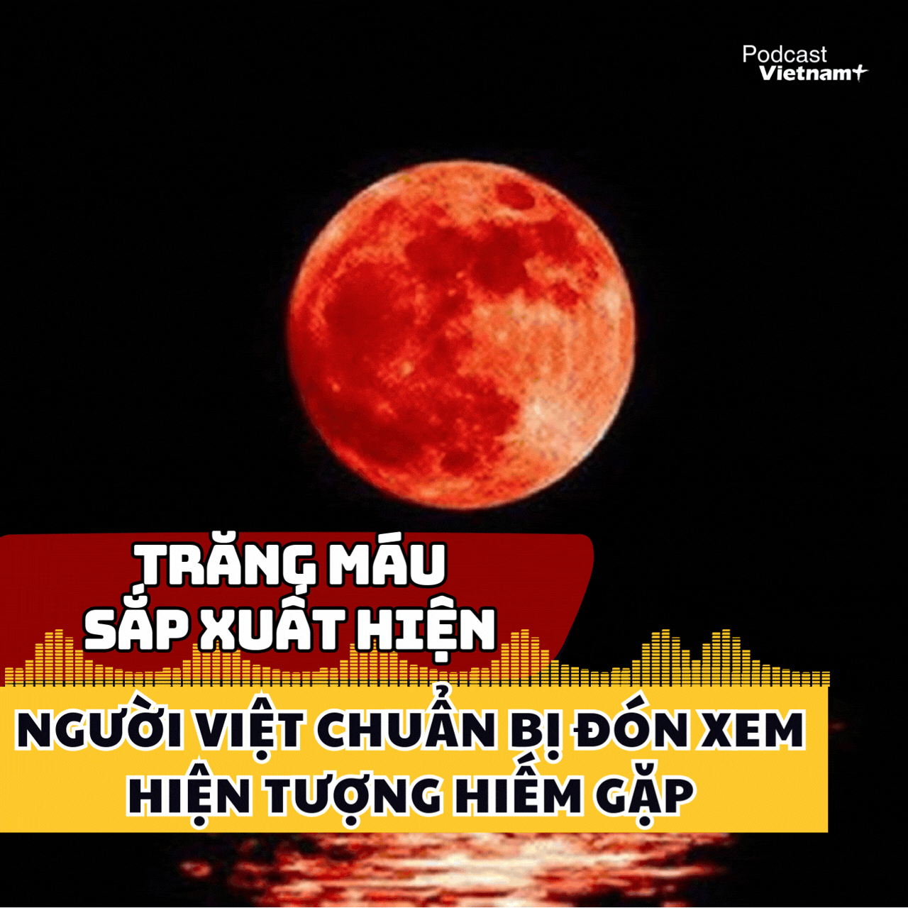Vietnamese people will soon have the opportunity to witness the rare ...