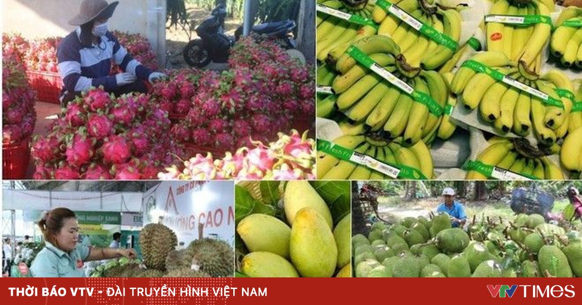 Vietnam's fruit and vegetable exports have accelerated since the ...