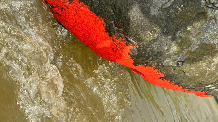 Unique bright red rock floating on the river in Da Nang.