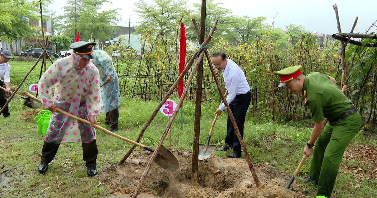 Dien Ban Dong Ward planted over 70 trees at the National Historical ...
