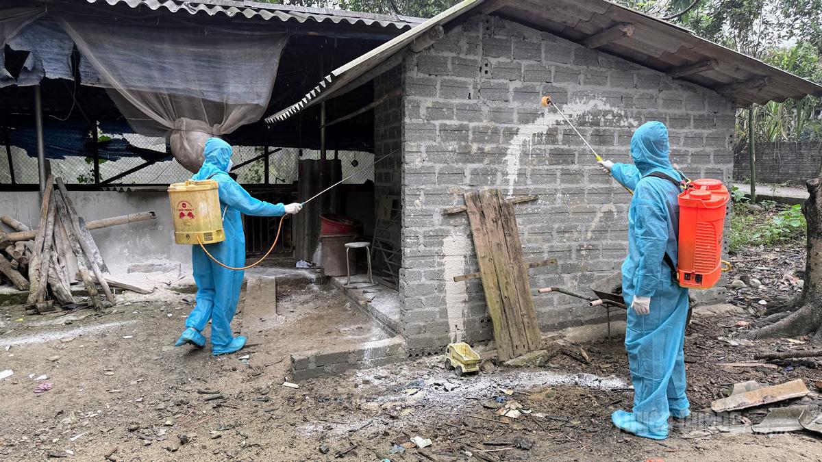 Tan Quang launches a month-long campaign for general sanitation ...