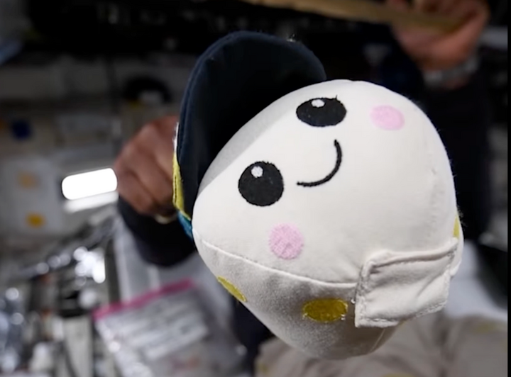 Eight-year-old boy creates a zero-gravity indicator teddy bear on the ...
