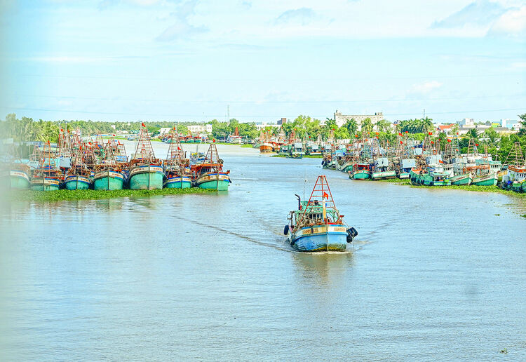 Sống cùng dòng Cái Bé