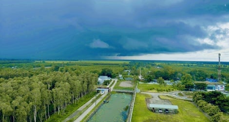 Ca Mau approves the planning for the U Minh Ha National Park eco ...