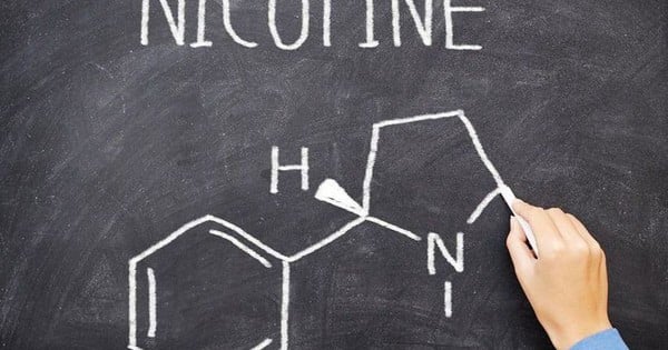 World No Tobacco Day 2026: Unmasking the Deceptive Allure – Taking ...