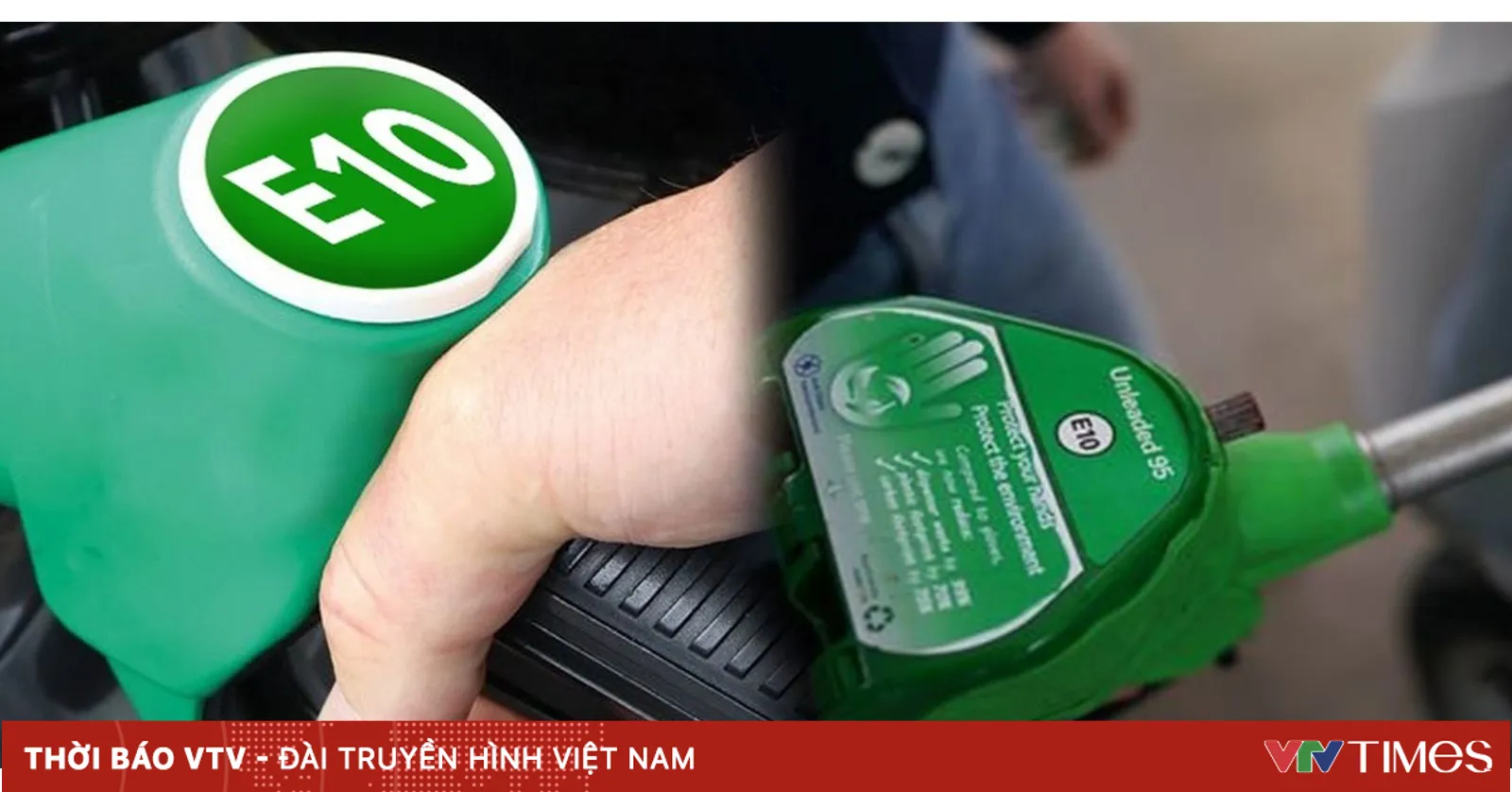 Which types of cars and motorcycles can use E10 gasoline?