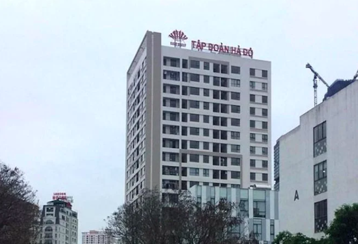 Công ty con thứ 19 của Tập đoàn Hà Đô hoạt động trong lĩnh vực nào?