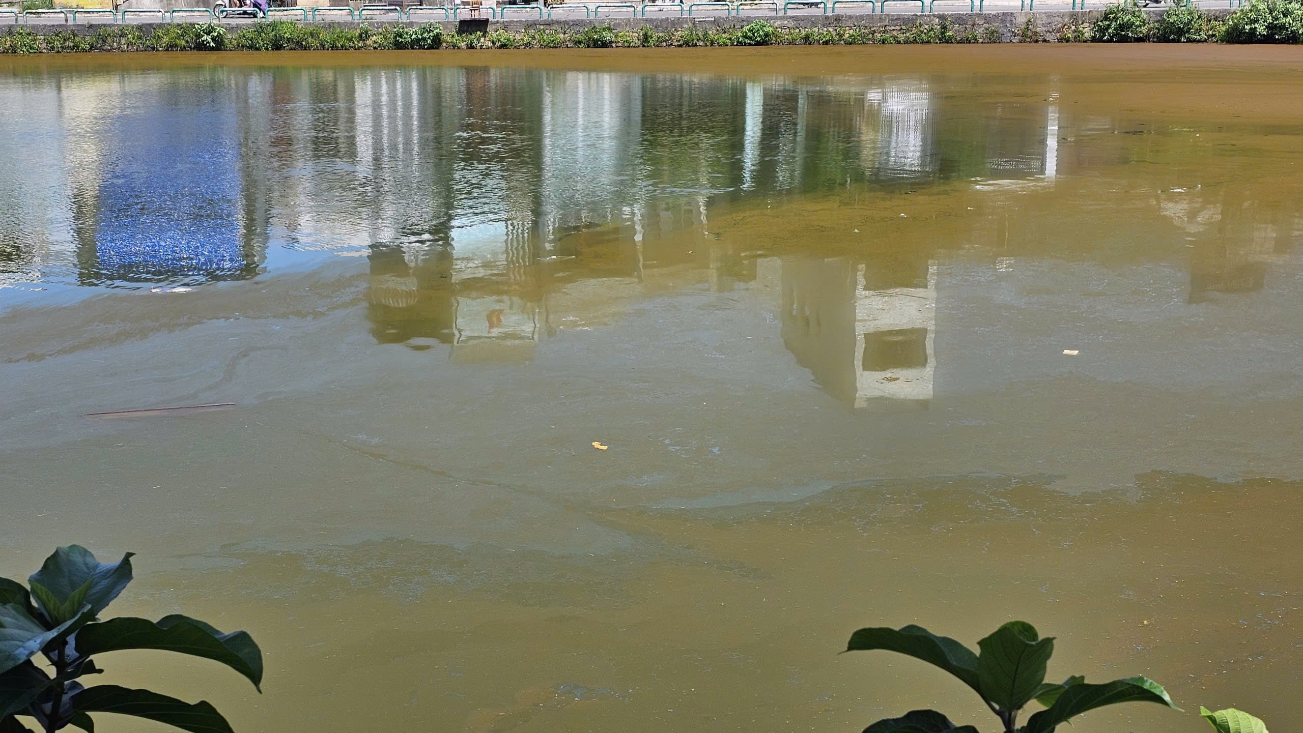 The surface of Heart Lake in Hue is covered with a film of scum and has ...