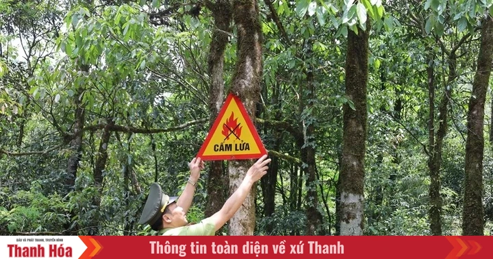 144 xã, phường trong tỉnh được cảnh báo cháy rừng cấp cao, cấp nguy hiểm