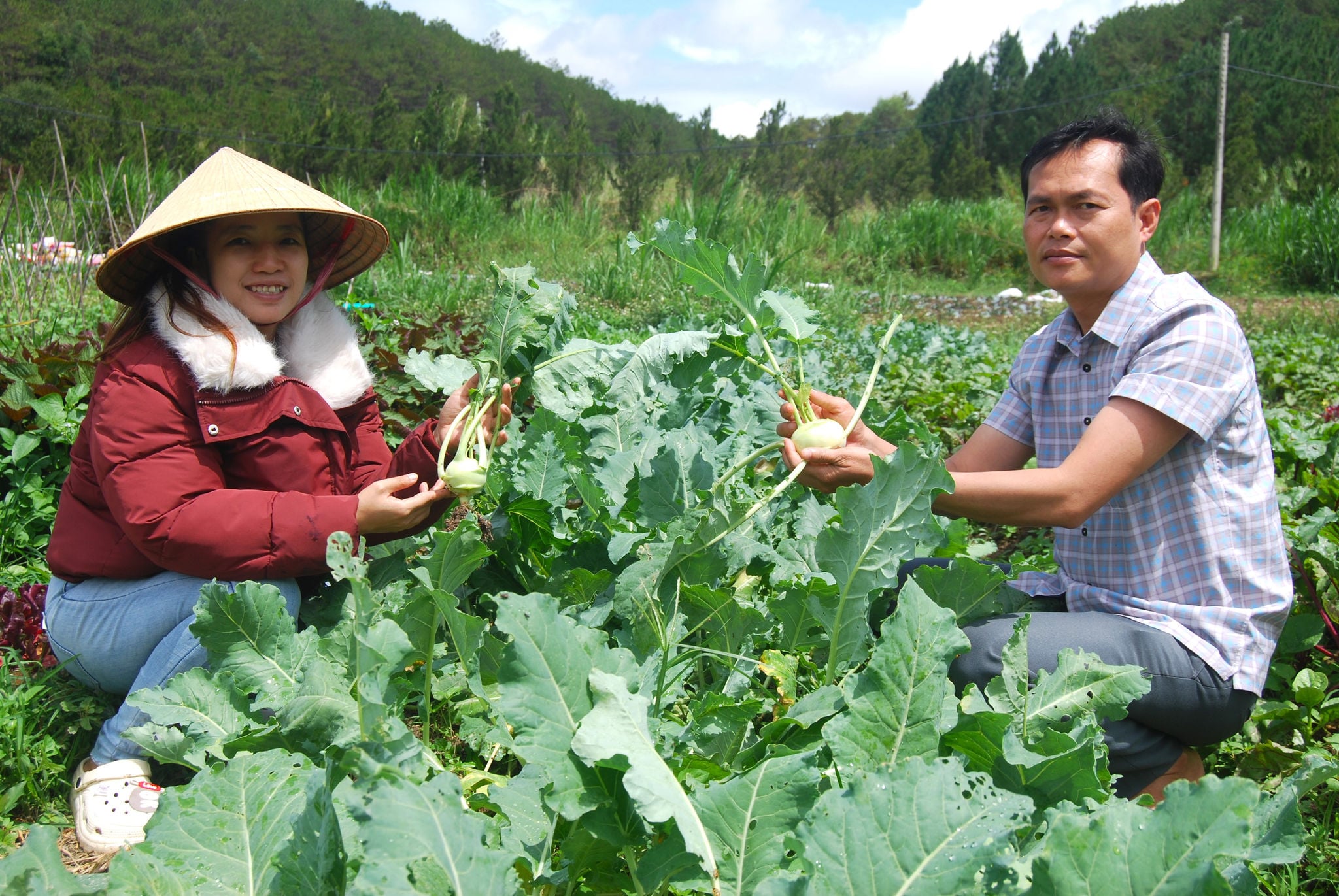 Mở rộng vùng trồng “rau thiên nhiên”