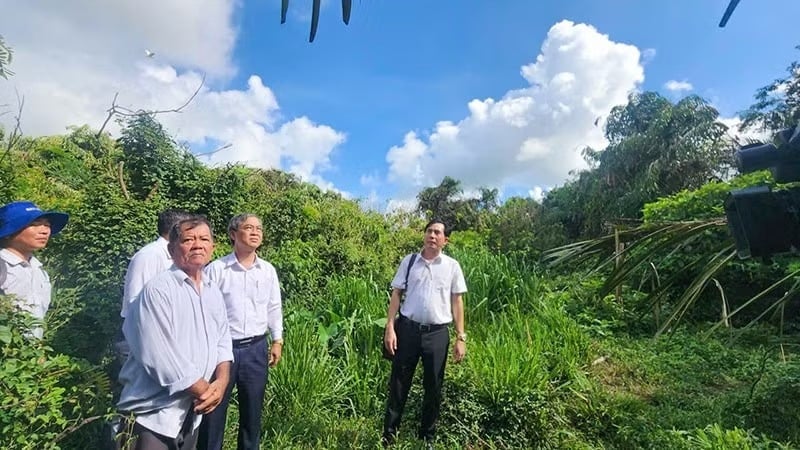 Khu vườn rộng la liệt chim vạc, chim quý trú ngụ ở tỉnh Vĩnh Long sẽ ...
