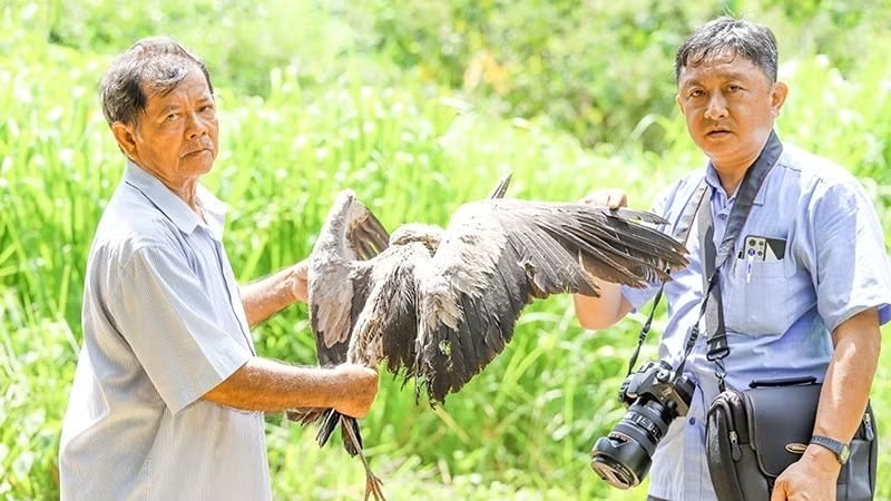 The vast garden teeming with herons and rare birds in Vinh Long ...