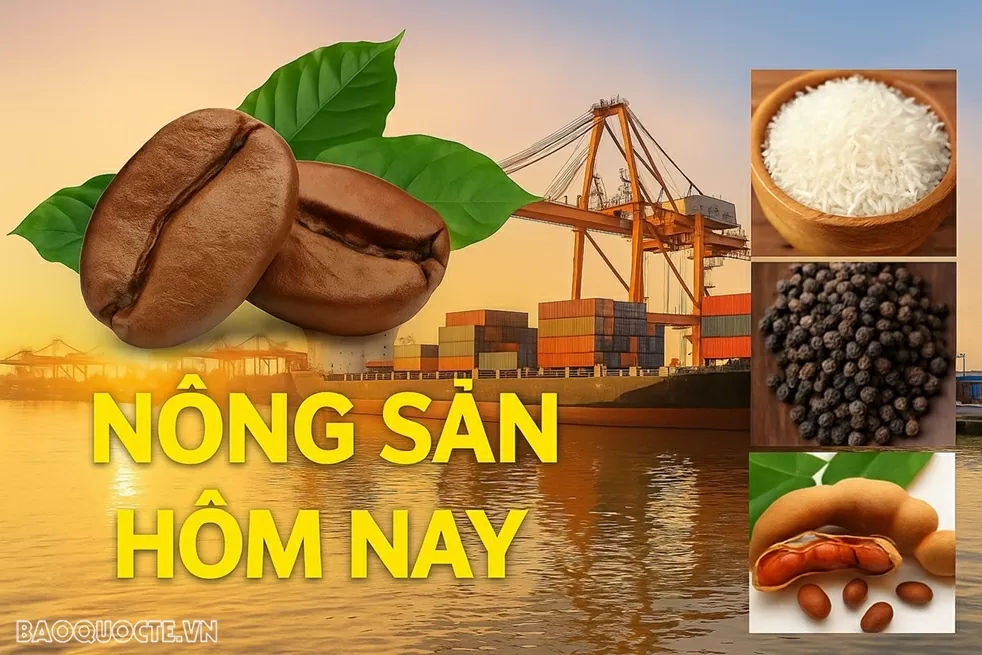 Giá nông sản hôm nay 24/6/2026: Giá cà phê bứt phá, thị trường nội địa ...