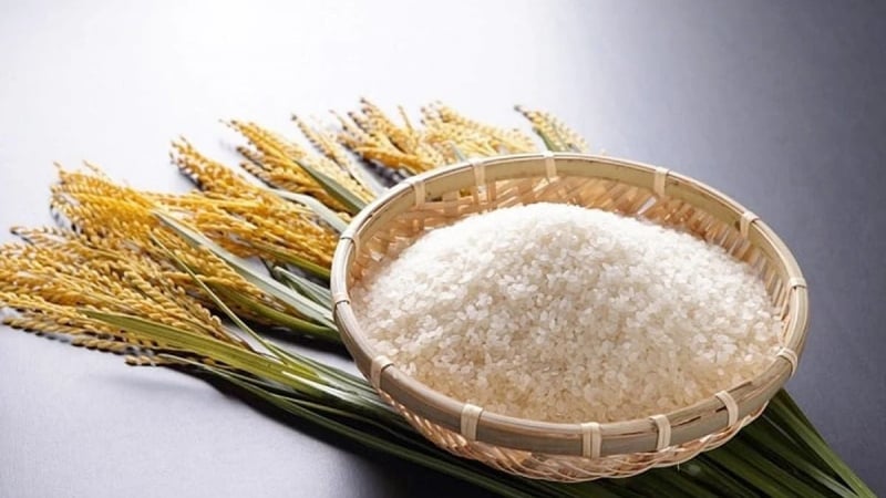 Giá lúa gạo hôm nay 28/5/2026: Giá lúa gạo ổn định