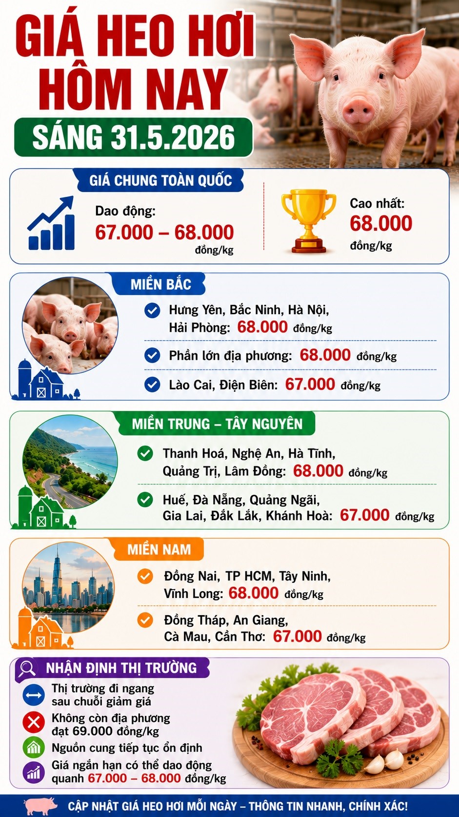 Giá heo hơi hôm nay 31.5: Thị trường đi ngang sau chuỗi ngày giảm