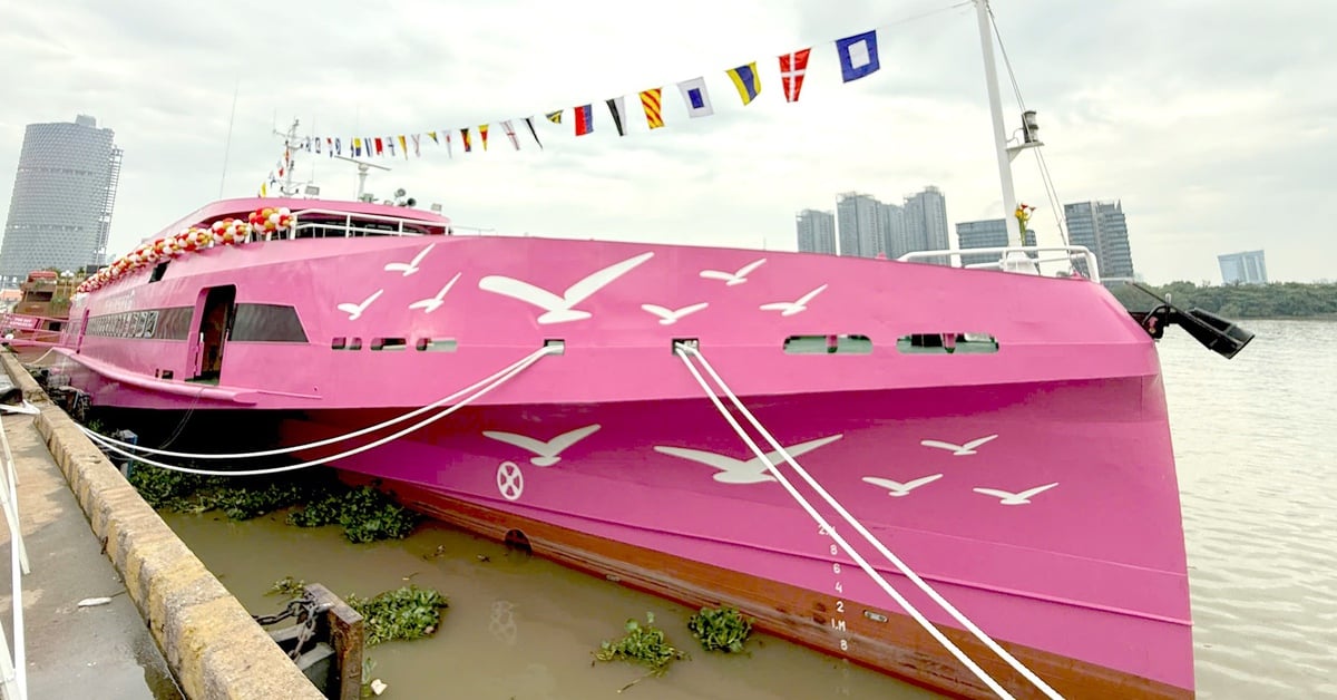 Ho Chi Minh City resumes high-speed ferry service from Nha Rong - Khanh ...