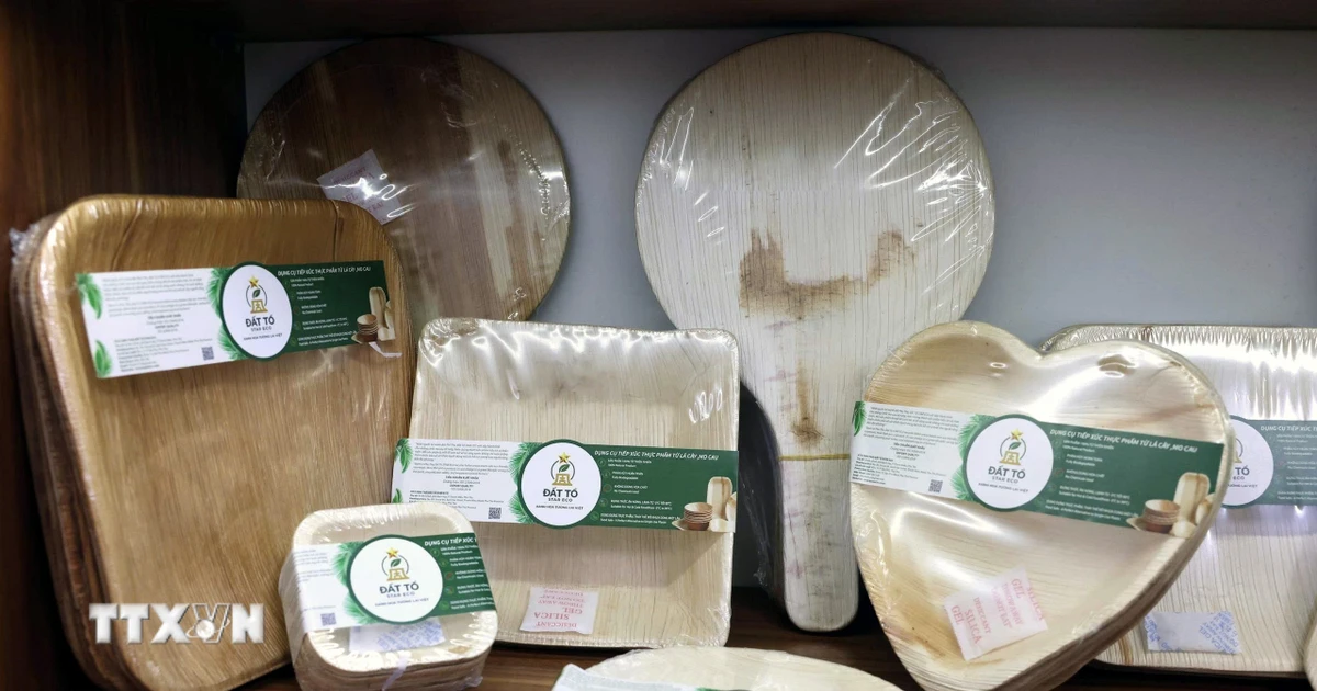 Reviving discarded palm leaf waste into disposable bowls and plates ...
