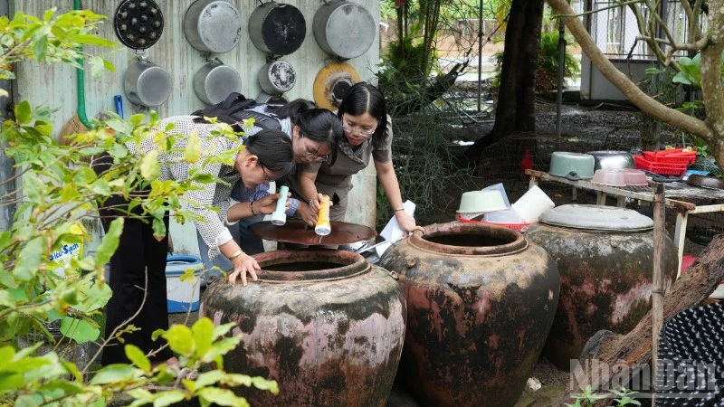 Dong Thap province has effectively controlled the Dengue fever outbreak.