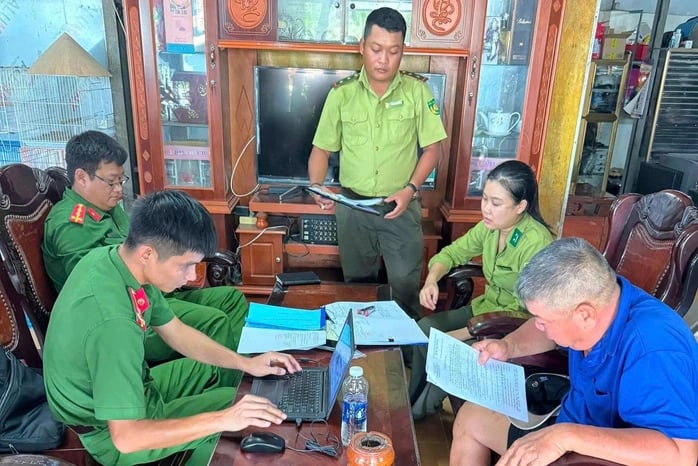 Tạm giữ 33 con rồng Nam Mỹ, 295 con chim chào mào, chích chòe ở tỉnh ...