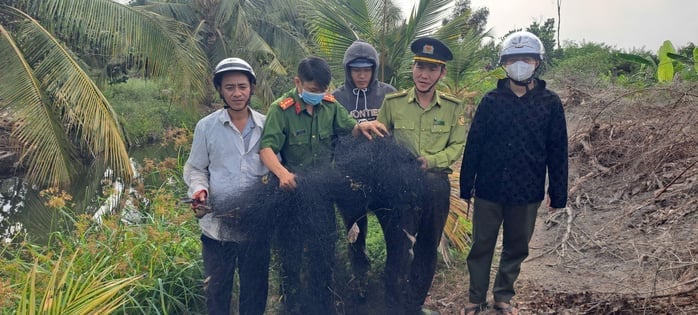 Tạm giữ 33 con rồng Nam Mỹ, 295 con chim chào mào, chích chòe ở tỉnh ...