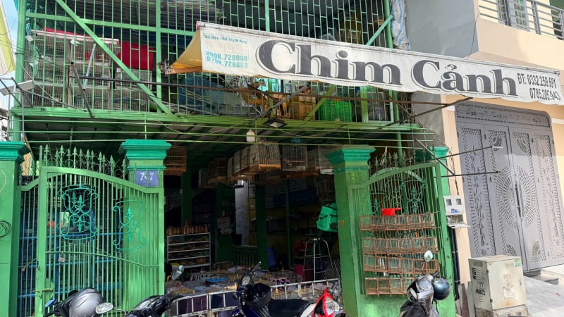 Tạm giữ 35 con chim chào mào nuôi nhốt không có giấy tờ ở phường Bà Rịa ...