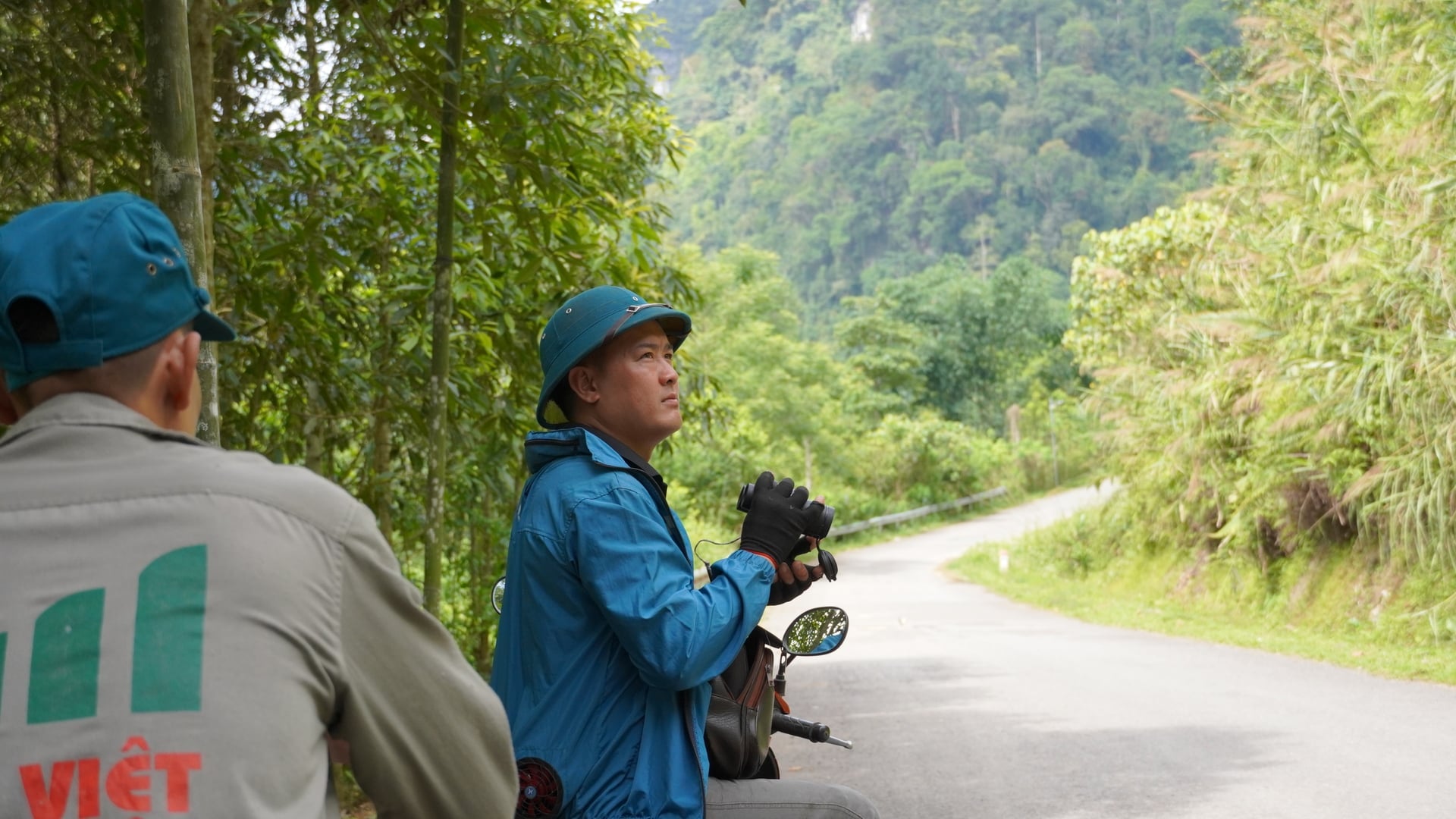 Kỹ nghệ săn ong