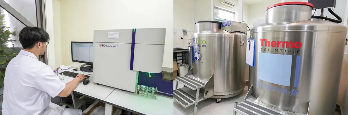 Breakthrough in cancer treatment: First successful allogeneic ...