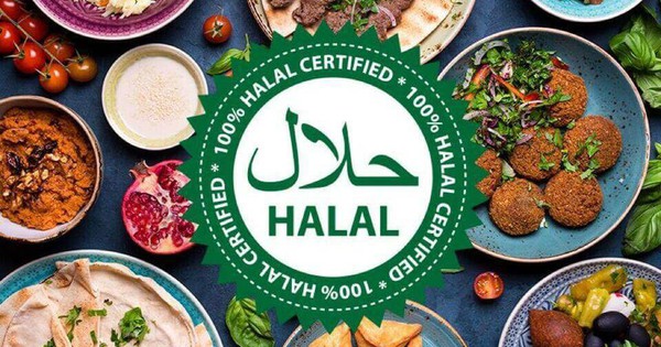 Establishing a comprehensive legal framework for the Halal industry ...