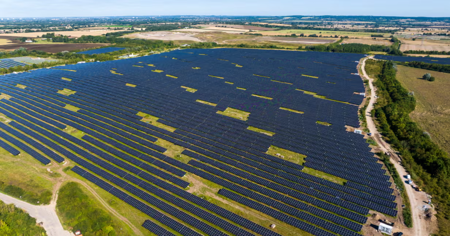 What few would have expected from an abandoned landfill: A source of ...