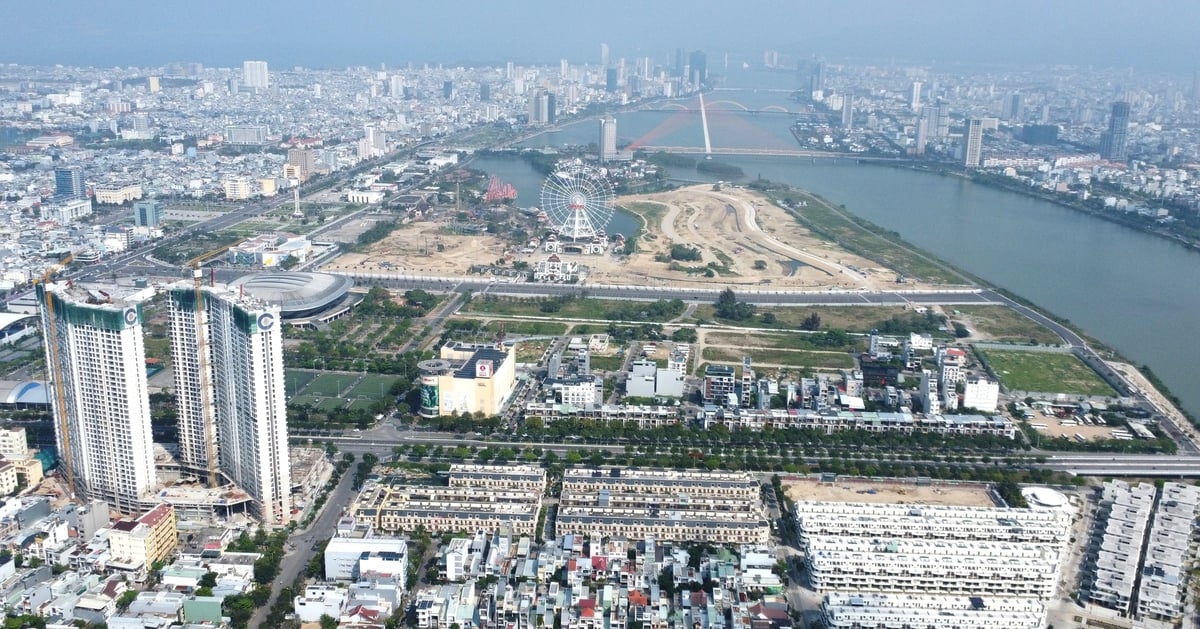 Six vice chairmen of Da Nang are directly overseeing the handling of ...
