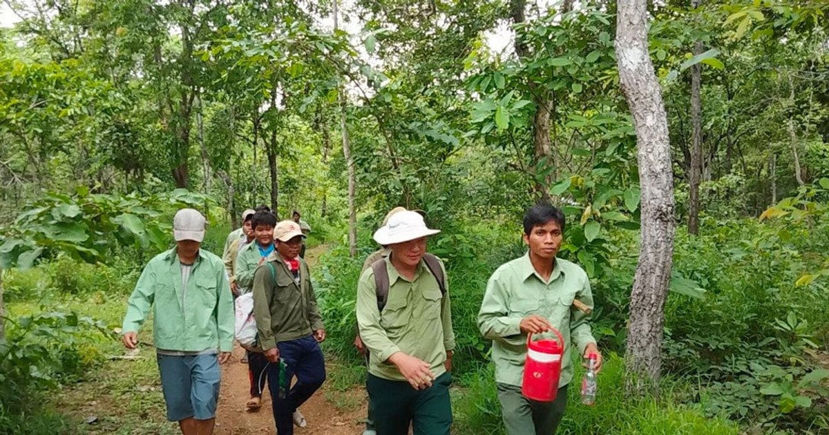 "Green Shield" in Dong Giang