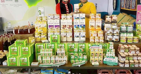 Promovarea adoptării standardelor naționale în Lao Cai.