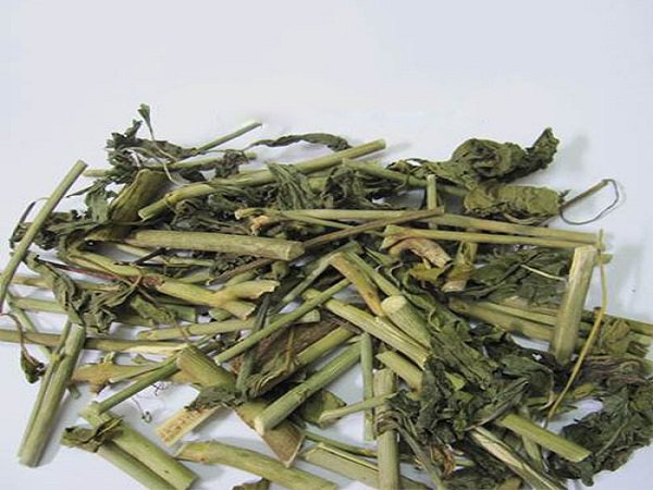 What are the uses of the monkey bone plant?