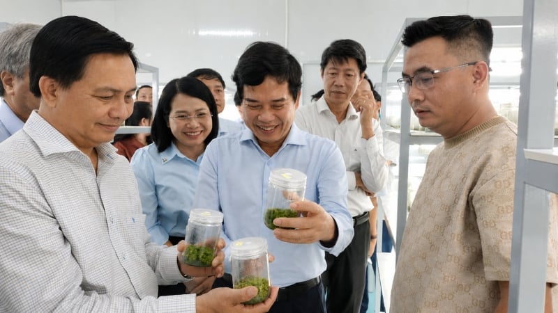 Vinh Long verlagert seinen Fokus von der Produktionssteigerung hin zur ...
