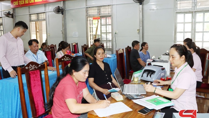Muong Coi effectively utilizes policy capital.