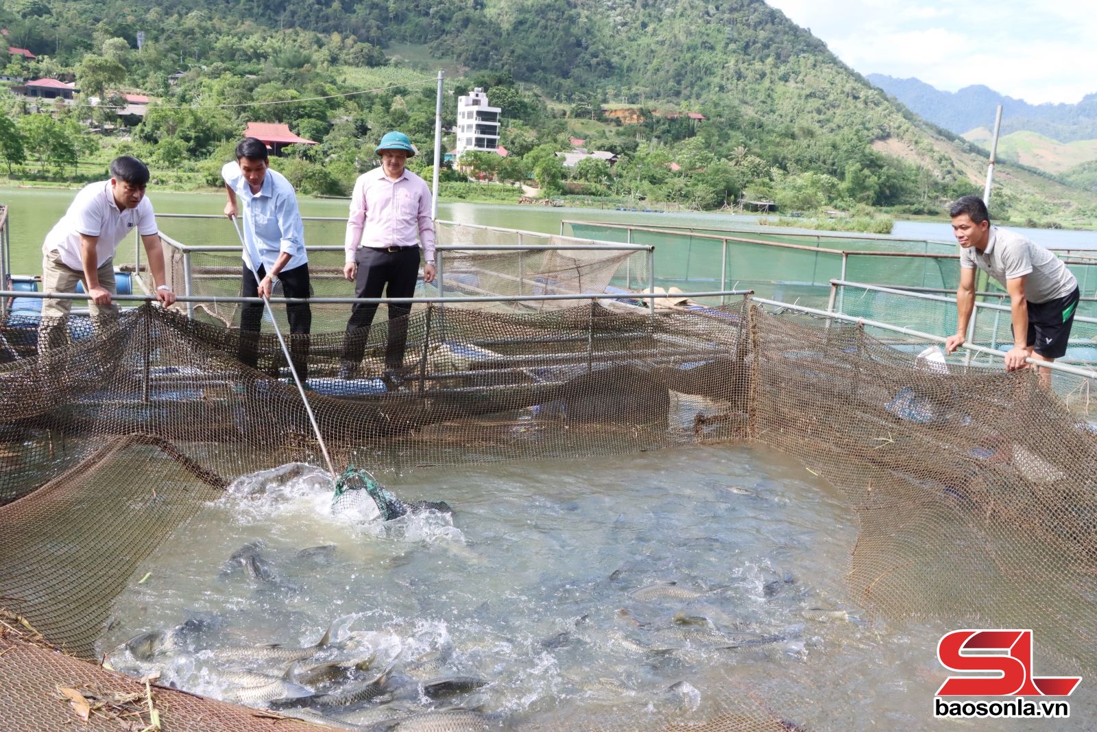 Muong Coi effectively utilizes policy capital.